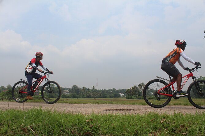 Suburbia cycling adventure surrounding wetlands and temples  Colombo Outskirts - Practical Details and Value