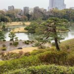 Sugamo: Exploring Grandma's Harajuku and Rikugien Garden - A Deep Dive into the Tour Experience