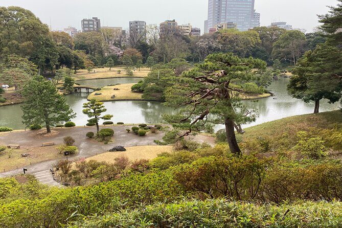 Sugamo: Exploring Grandma's Harajuku and Rikugien Garden - A Deep Dive into the Tour Experience