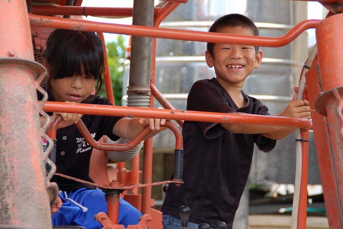 Sugarcane cutting experience with Okinawa's grandfather - What Travelers Say