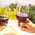 Summerland: Full-Day Wine Tour with Tastings - Transportation and Comfort