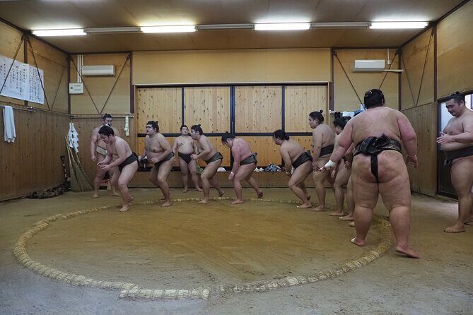 Sumo Morning Training Watch in Osaka - Who Should Consider This Tour?