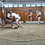 Sumo Practice Viewing Guided Tour and Photo with Sumo Wrestlers - Who Will Love This Tour?