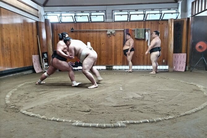 Sumo Practice Viewing Guided Tour and Photo with Sumo Wrestlers - Who Will Love This Tour?