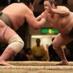Sumo Tournament Experience in Fukuoka - The Deep Dive: What to Expect from the Tour