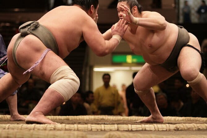 Sumo Tournament Experience in Fukuoka - The Deep Dive: What to Expect from the Tour