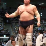 Sumo Tournament: Guided Tour + Ticket & Assigned Seat - What to Expect During Your Visit