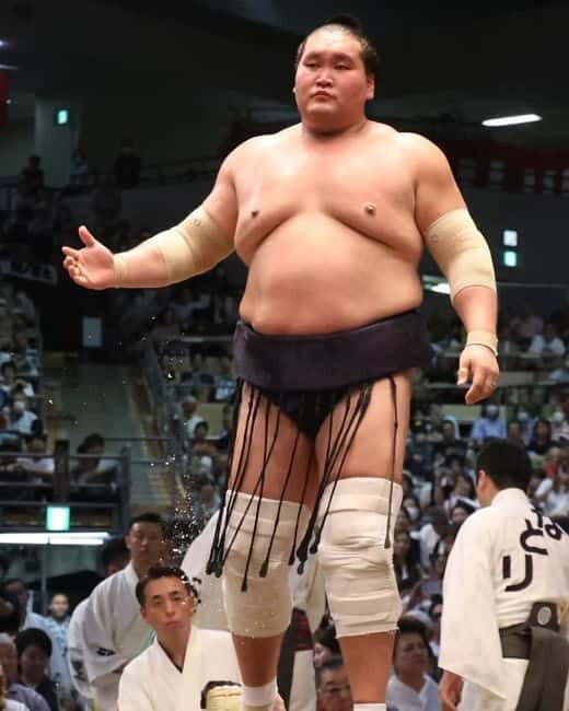 Sumo Tournament: Guided Tour + Ticket & Assigned Seat - What to Expect During Your Visit
