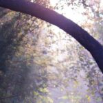Sunder Nursery Delhi's Heritage Garden Walk Tour - Insights from Past Travelers