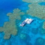 Sunlover Reef Cruises Cairns Great Barrier Reef Experience - The Reef Environment and Practical Considerations