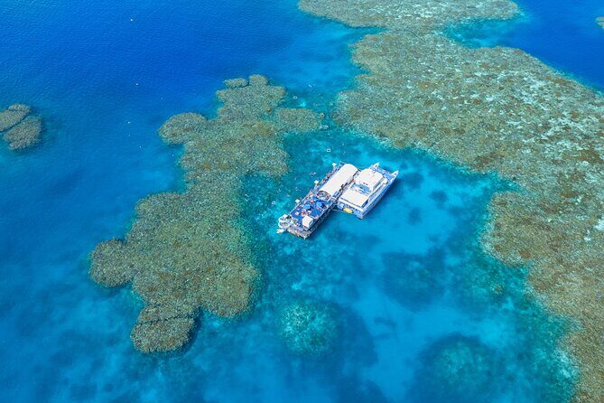 Sunlover Reef Cruises Cairns Great Barrier Reef Experience - The Reef Environment and Practical Considerations