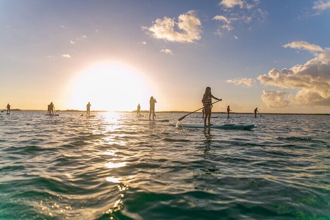 Sunrise by Paddle or Kayak with Floating Picnic - Authenticity and Guides