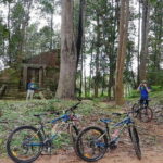 Sunrise Cycling Of Angkor Wat Temple - Practical Details and What To Know Before Booking
