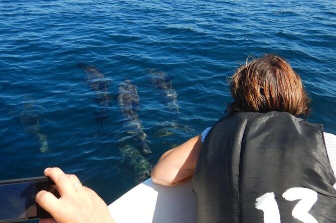 Sunrise dolphin watching experience and Bar Reef snorkelling  Kalpitiya - The Itinerary: From Sunrise to Snorkel