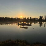 Sunrise in Xochimilco - What You’ll Experience in Detail