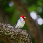 Sunrise Plus Island Tour - Detailed Breakdown of the Itinerary