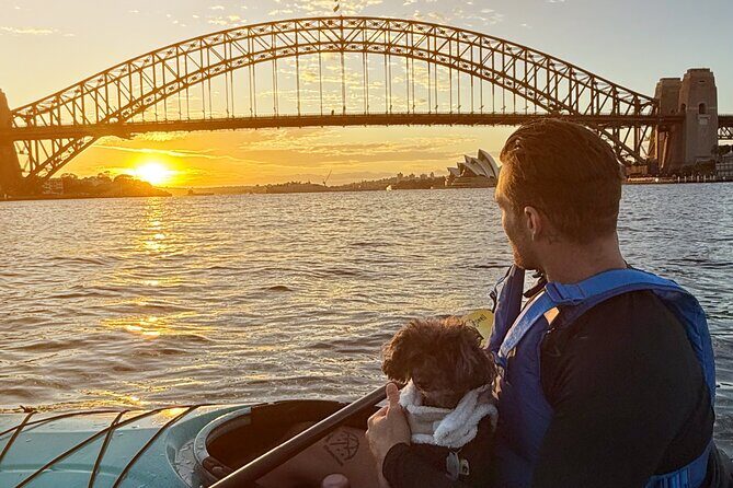 Sunrise Serenity Kayak Tour of Sydney Harbour - The Sum Up