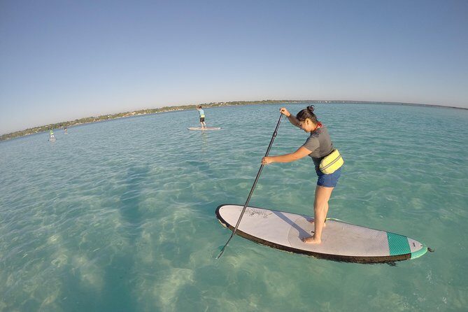 Sunrise Tour (Stand Up Paddle or Kayak) - Who Should Book This Tour?