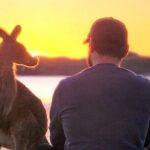 Sunrise with the kangaroos and wallabies - Practical Tips for Making the Most of Your Tour