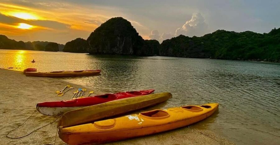 Sunset and Magical Bioluminescence plankton Night Kayak Tour - The Itinerary: What You’ll Experience
