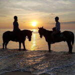 Sunset Beach Horseback Ride Phuket - Who Should Consider This Tour?