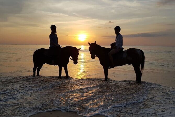 Sunset Beach Horseback Ride Phuket - Who Should Consider This Tour?