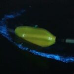 Sunset & Bioluminescent Plankton Kayaking Lan Ha bay - Sunset at Van Boi Beach: A Perfect Precursor