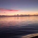 Sunset Boat Trip from Papeete - Savouring the Sunset and Local Flavours