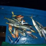 Sunset Cruise and Night Fishing in Huraa - What Do Travelers Say?