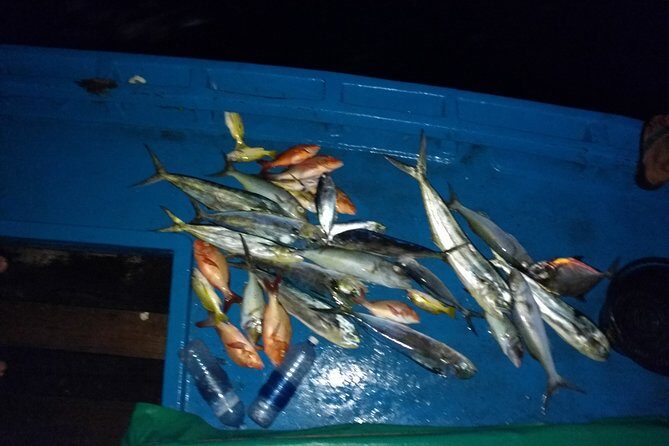 Sunset Cruise and Night Fishing in Huraa - What Do Travelers Say?