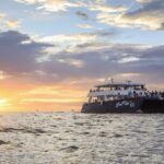 Sunset Dinner Cruise in Los Cabos - The Practicalities