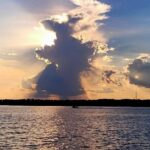 Sunset, Dolphin/Birding On A Private Guided Savannah Cruise - The Sum Up