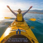 Sunset Evening Kayaking Tour - Kaikoura - Who Will Love This Tour?