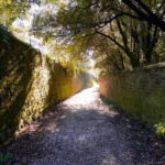 Sunset Hike in Fiesole with Aperitivo - Who Would Love This Tour?