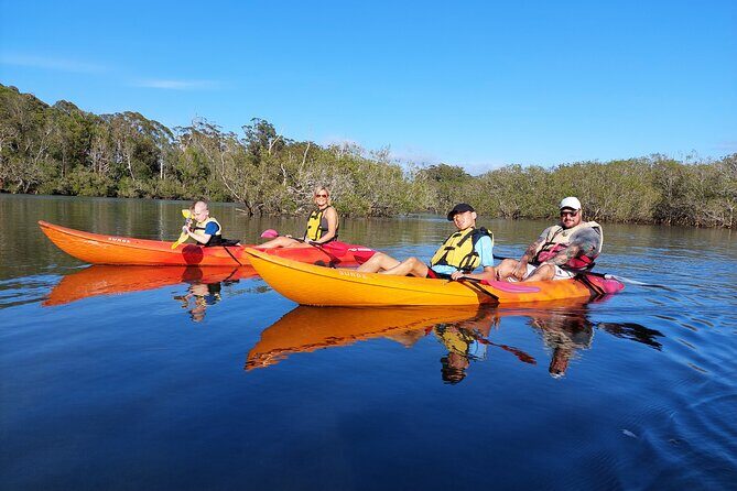 Sunset Kayak Eco Tour with Marine Scientist - What To Expect: The Itinerary