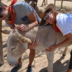 Sunset Pacific Donkey Hiking Tour - The Sum Up: Is It Worth Your Time?