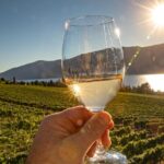 Sunset Sip Wine Tour - FAQs about the Sunset Sip Wine Tour