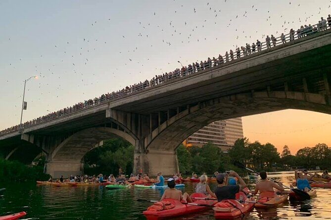 Sunset Skyline Kayak Tour - What’s in Store: A Detailed Look at the Tour