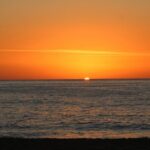 Sunset Whale Cruise in Cabo San Lucas - Who Should Consider This Tour?