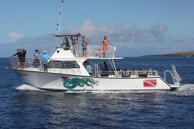 Sunset Whale Watching Shared Activity - Practical Details & Logistics