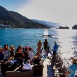 Sunsets and Whales Mega Yachts ALL INCLUSIVE: Puerto Vallarta - Who Will Love This Tour?