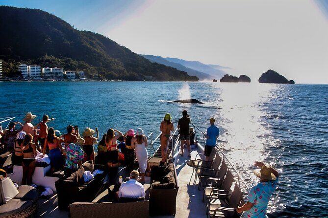 Sunsets and Whales Mega Yachts ALL INCLUSIVE: Puerto Vallarta - Who Will Love This Tour?