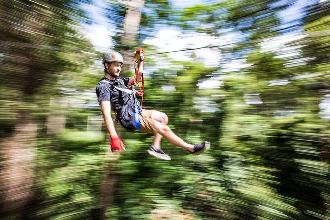 Sunshine Coast Adventure Park TreeTop Challenge - In-Depth Review of the TreeTop Challenge Sunshine Coast