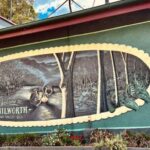 Sunshine Coast: Hinterland Adventure Private 4WD Jeep Tour - Value for Money