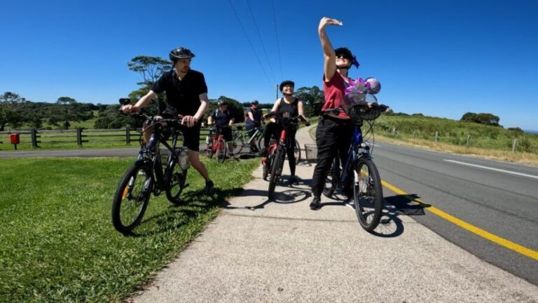 Sunshine Coast: Maleny Magic Guided e-Bike Tour - What Makes the Maleny Magic e-Bike Tour Stand Out?