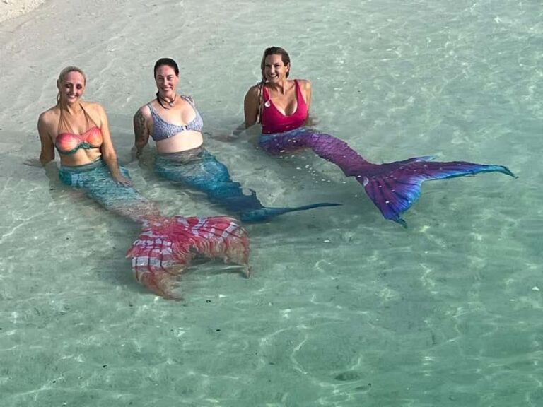 Sunshine Coast: Mermaid Swim Experience - The Value of the Experience