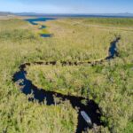 Sunshine Coast: Noosa Everglades, Hinterland & Boat Cruise - Who Would Enjoy This Tour?