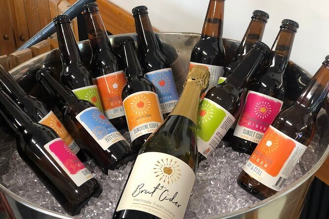 Sunshine Coast & Noosa Private Wine Tour Inc. Lunch & Tastings - Practical Details and What to Expect