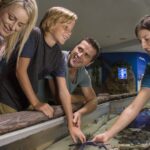 Sunshine Coast: SEA LIFE Sunshine Coast Entry Ticket - The Visitor Experience: Practical Details
