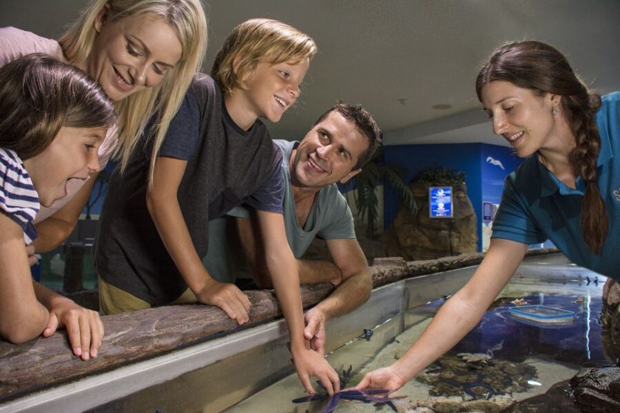 Sunshine Coast: SEA LIFE Sunshine Coast Entry Ticket - The Visitor Experience: Practical Details